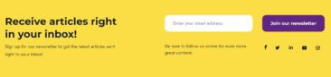 22 Newsletter Signup Form Examples to Grow Your Email List | ZB